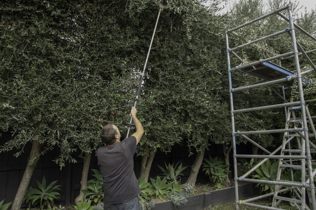 Services - Barrow and Spade